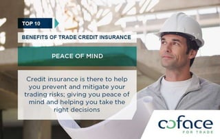 Top 10 Benefits of Trade Credit Insurance | PPTX | Insurance | Personal Finance