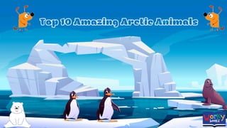 Top 10 Amazing Arctic Animals | Workybooks | PDF