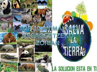 Top 10 animaliak desagertzeko zorian | PPTX