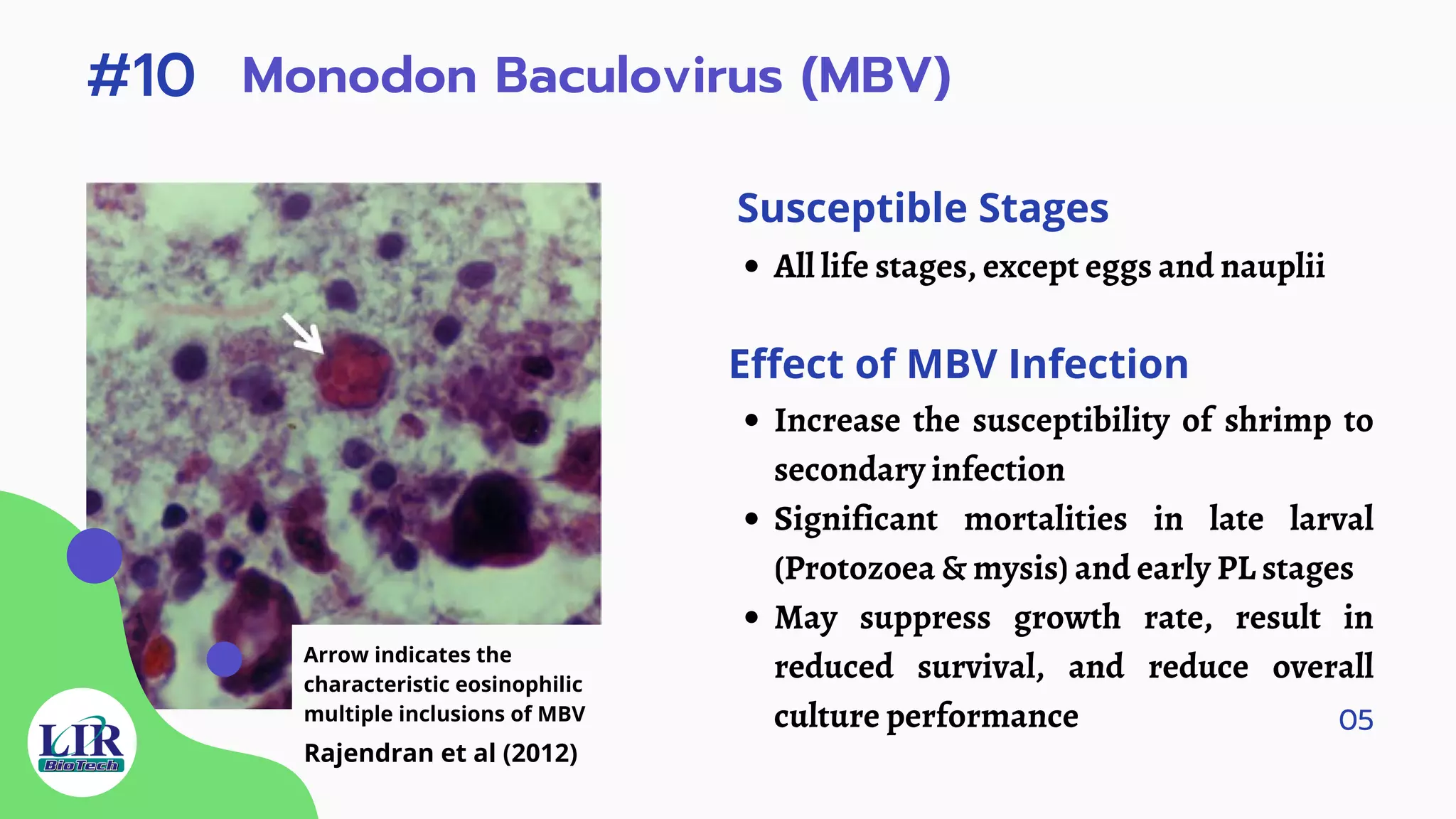 MBV & SHIV - Top 10 aquatic diseases tested in 2019 | PDF