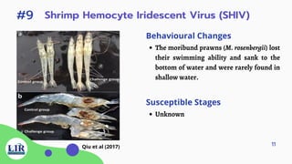 MBV & SHIV - Top 10 aquatic diseases tested in 2019 | PDF