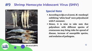 MBV & SHIV - Top 10 aquatic diseases tested in 2019 | PDF | Infectious ...