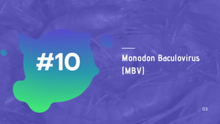 MBV & SHIV - Top 10 aquatic diseases tested in 2019 | PDF