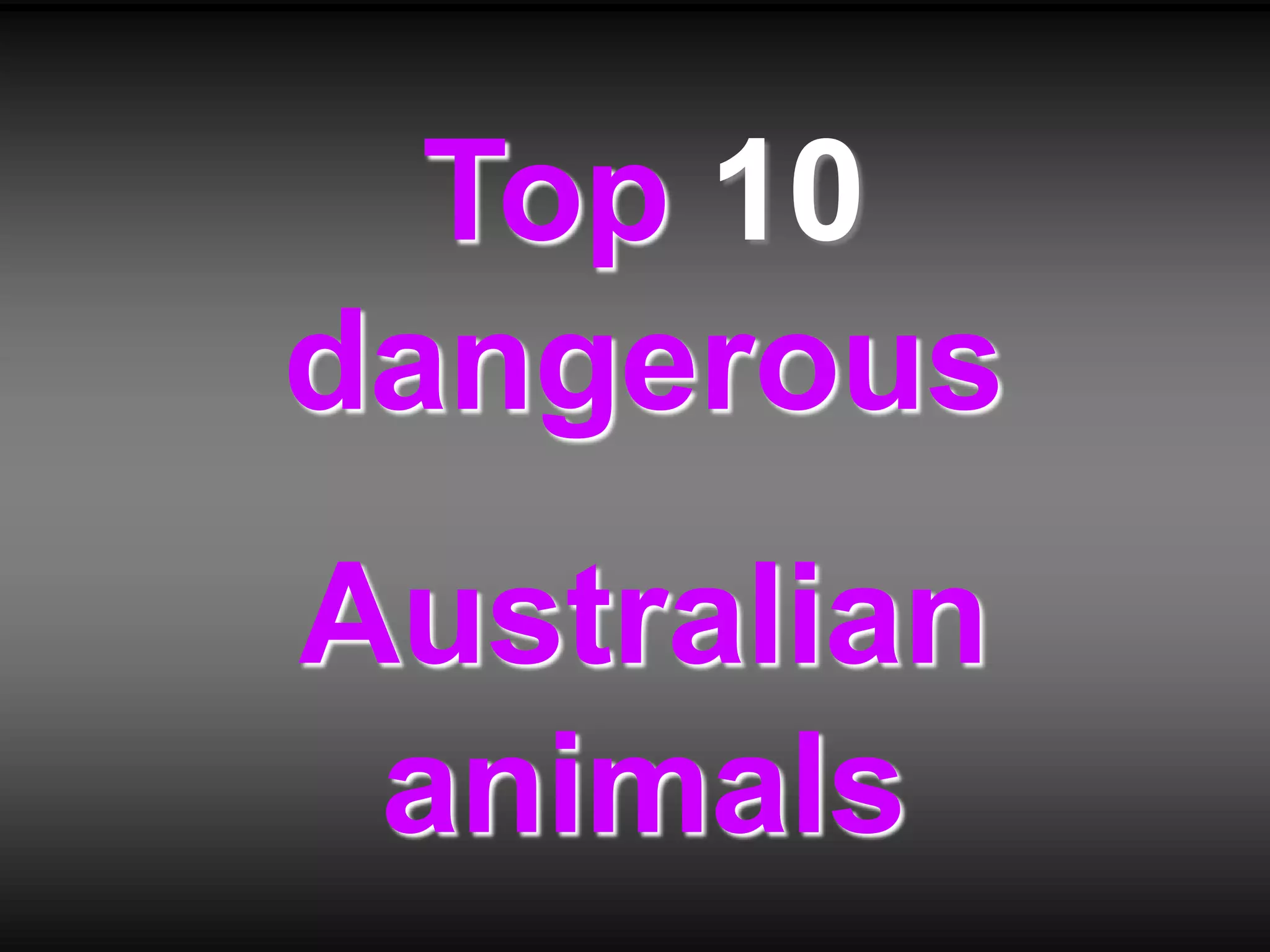 Top 10 australian dangerous animals from 10 to 6 | PPTX