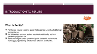 Top 10 Benefits of Using Perlite in Gardening.pptx