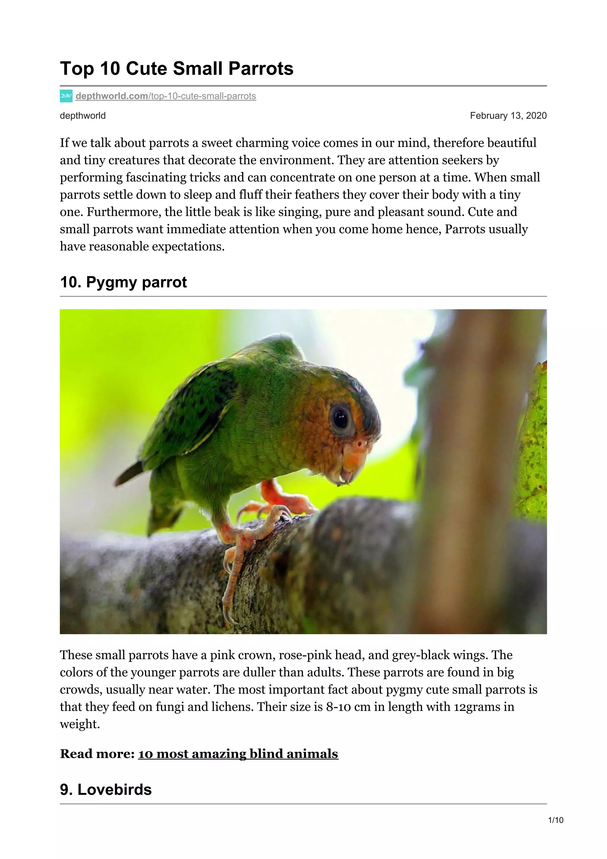 Top 10 cute small parrots | PDF