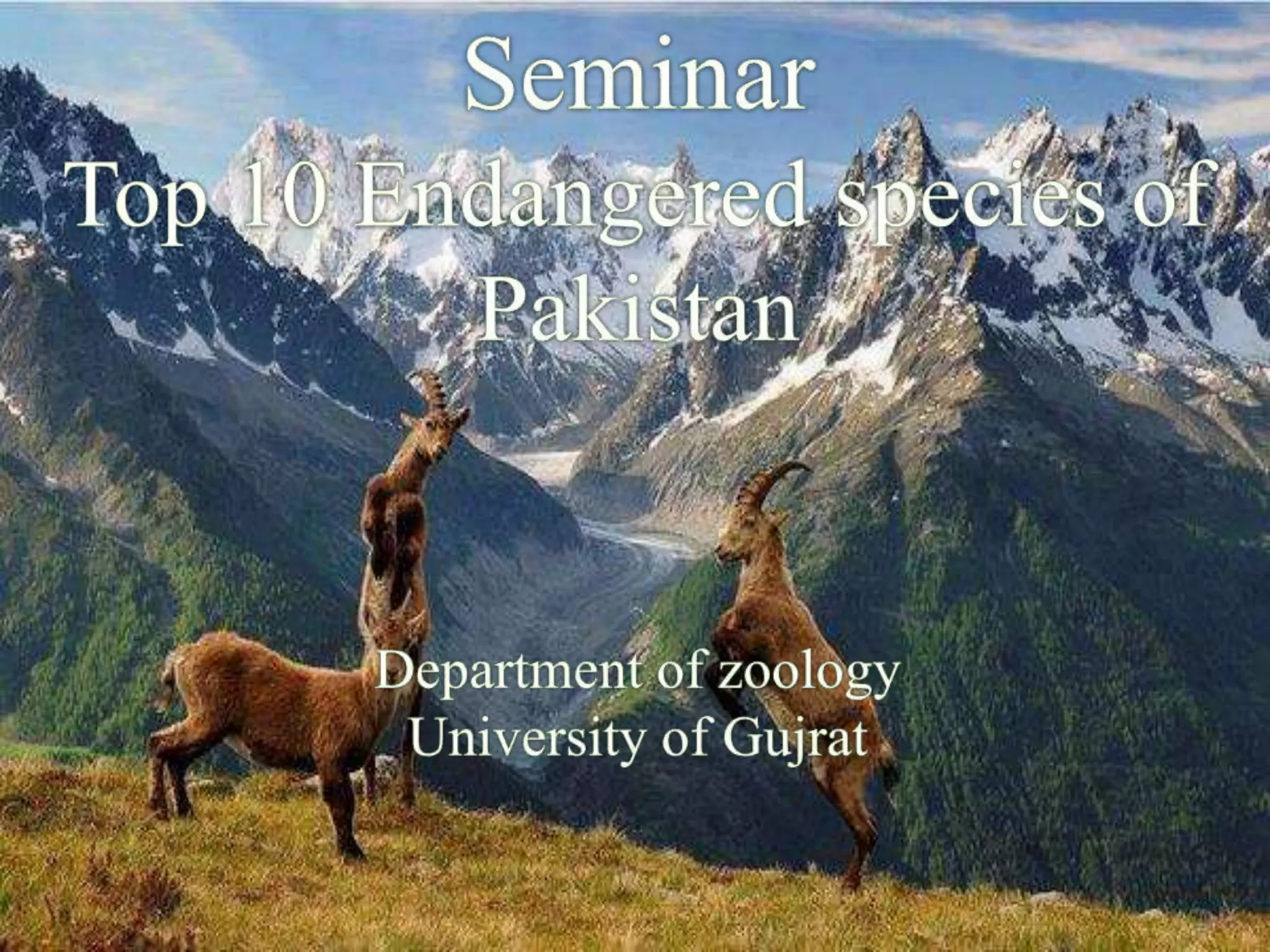 Top 10 endangered species of pakistan | PPT