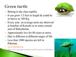 Top 10 endangered species of pakistan | PPTX