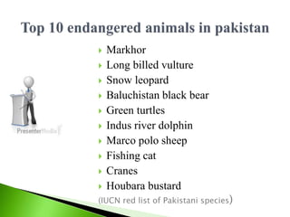 Top 10 endangered species of pakistan | PPTX