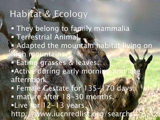 Top 10 endangered species of pakistan | PPTX