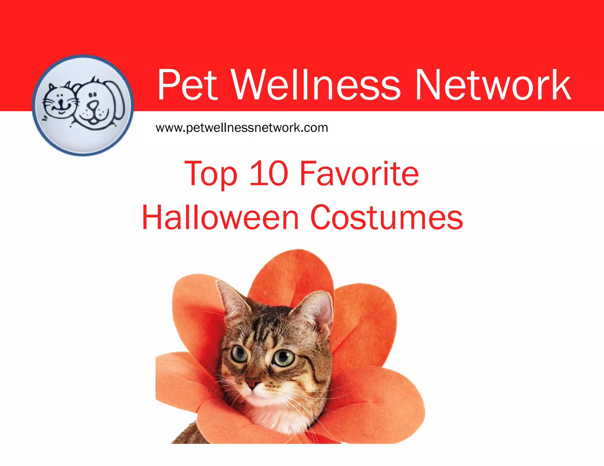 Our Top 10 Favorite Pet Halloween Costumes - Toronto Veterinarians | PDF