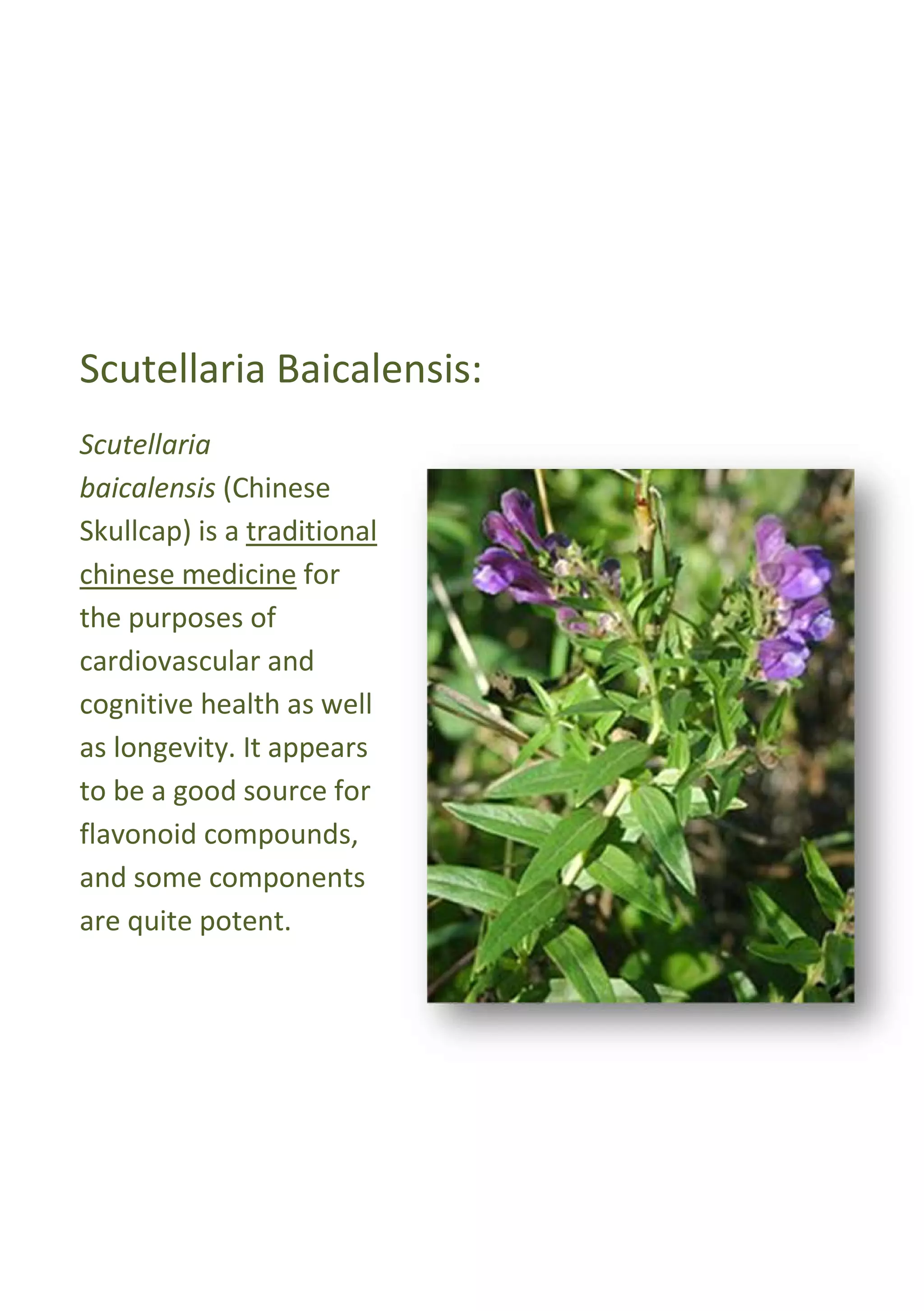 Top 10 herbs MAP (medicinally active plants) for cultivation in ...