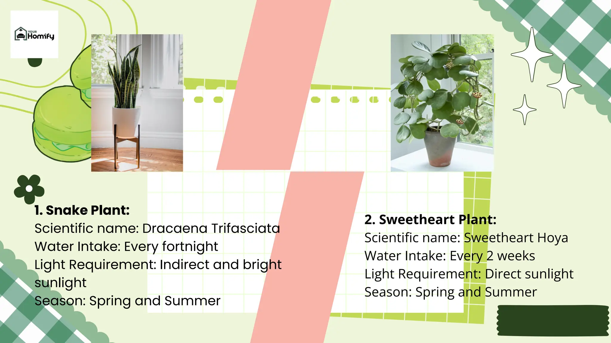 Top 10 Indoor Plants With Names To Grow In Your Indoor Garden.pdf