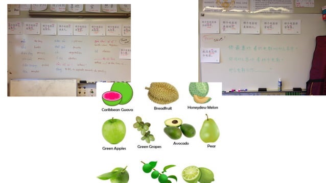 Top 10 Input and Output Activities.pdf