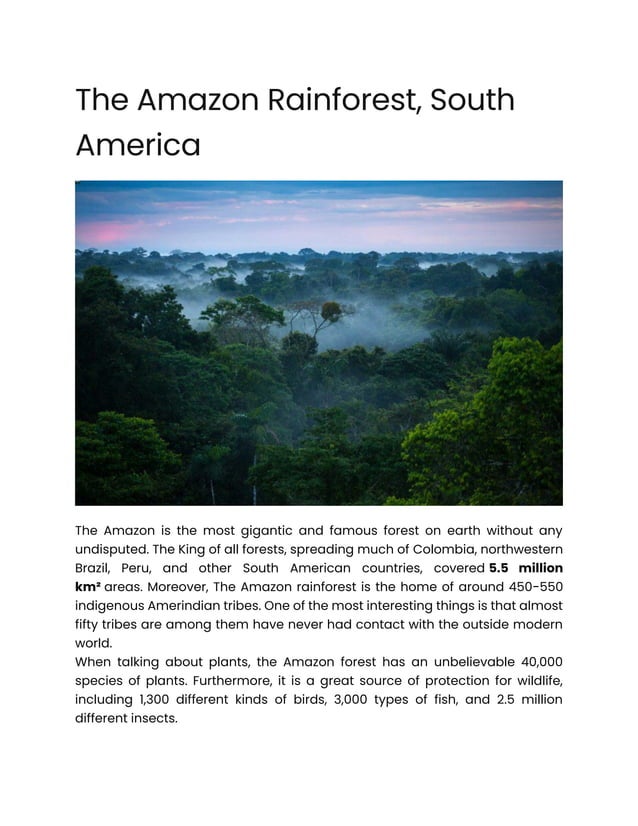 Top 10 Largest Forests in The World.pdf