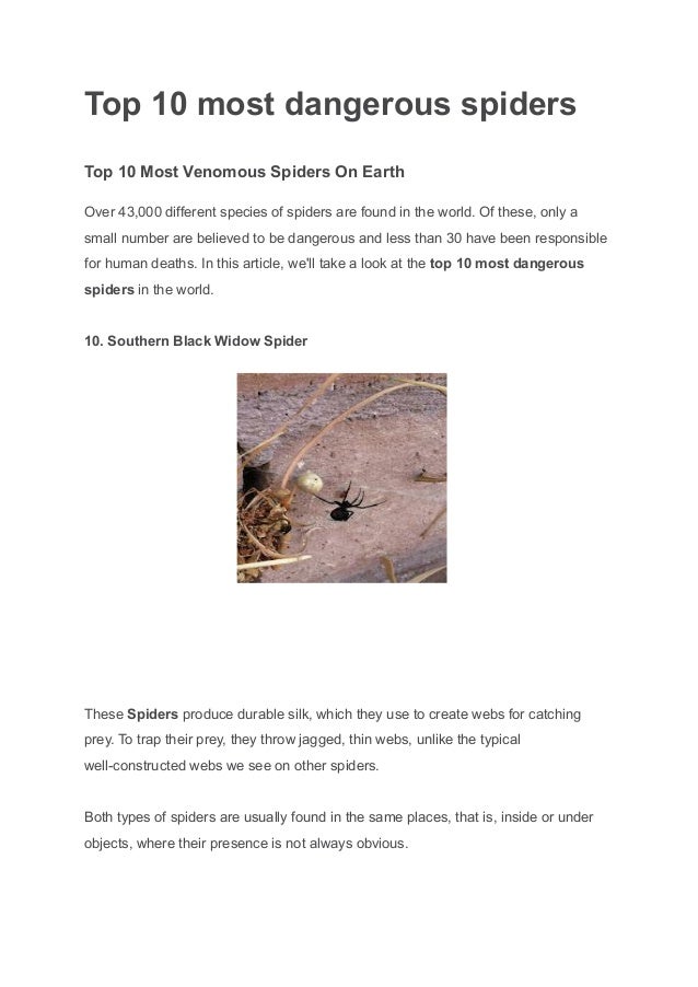 Top 10 most dangerous spiders.pdf