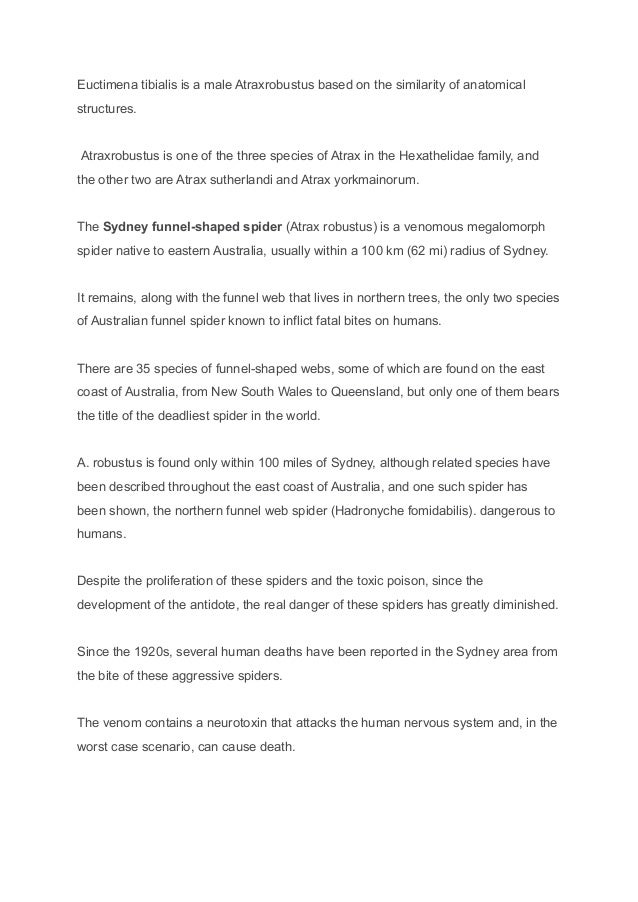 Top 10 most dangerous spiders.pdf