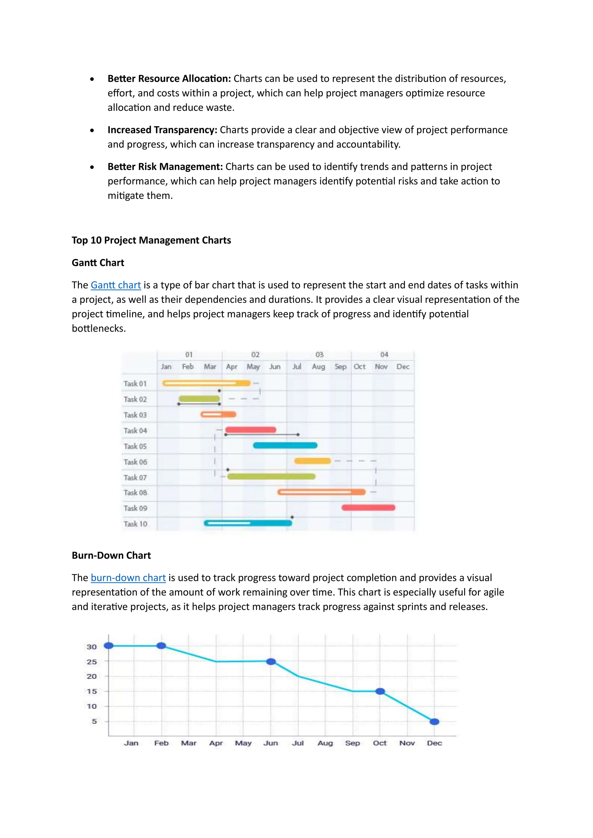Top 10 Most Popular Charts For Project Management .docx
