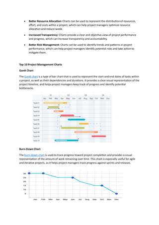 Top 10 Most Popular Charts For Project Management .docx