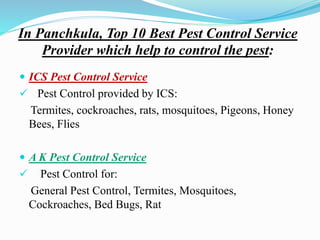 Top 10 pest control service provider in panchkula | PPT