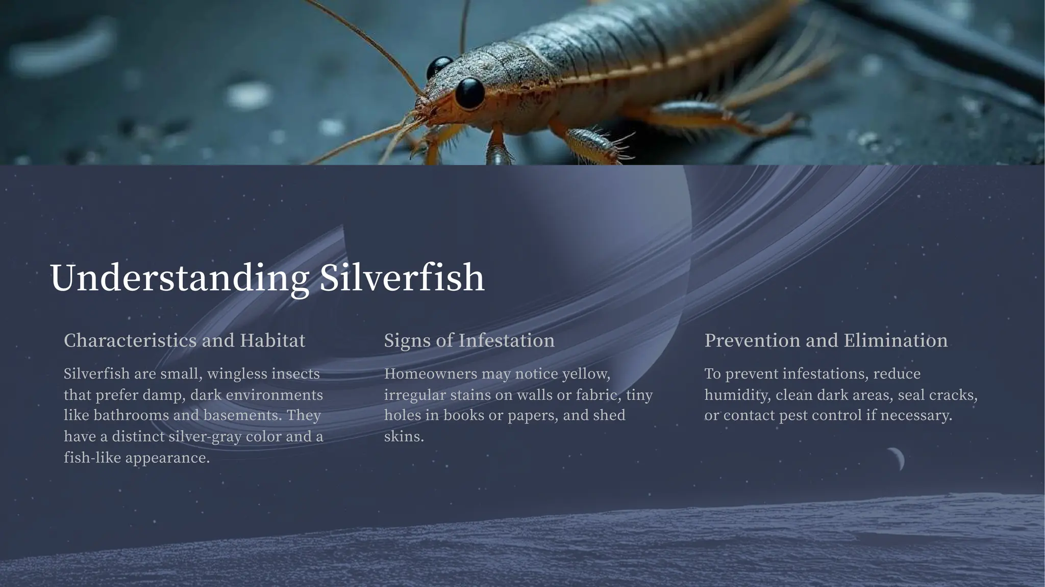 Top 10 Common Pests Found in Gold Coast Homes and How to Control Them | PDF