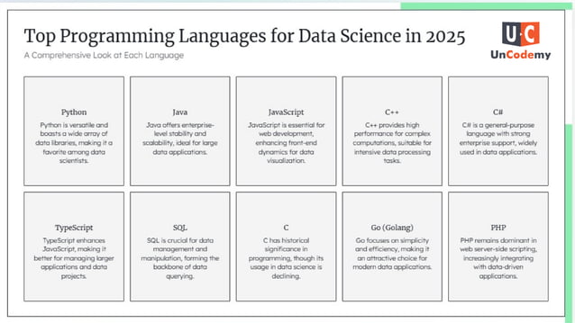Top 10 Programming Languages for Data Science.pptx