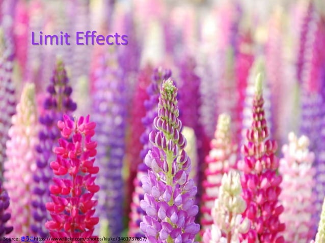 Top 10 Slide Tips | PPT