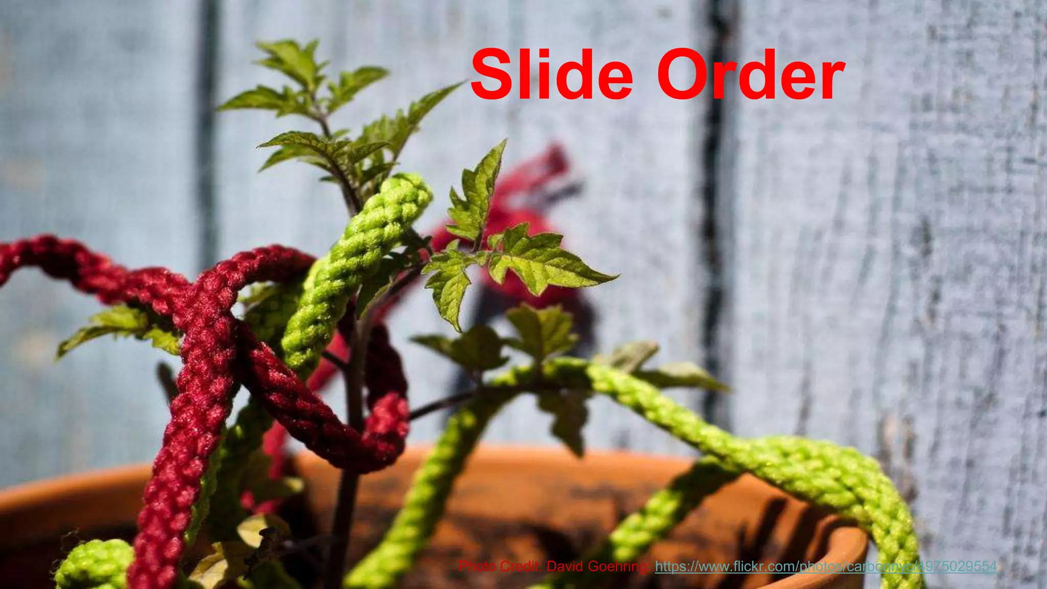 Top 10 slide tips | PPT