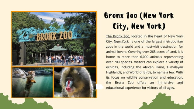 Top 10 Zoos to Visit in the United States! | PPT