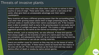 Top 11 indiana invasive plant species | PDF