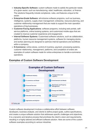 Top 12 Examples of Custom Software Development.pdf