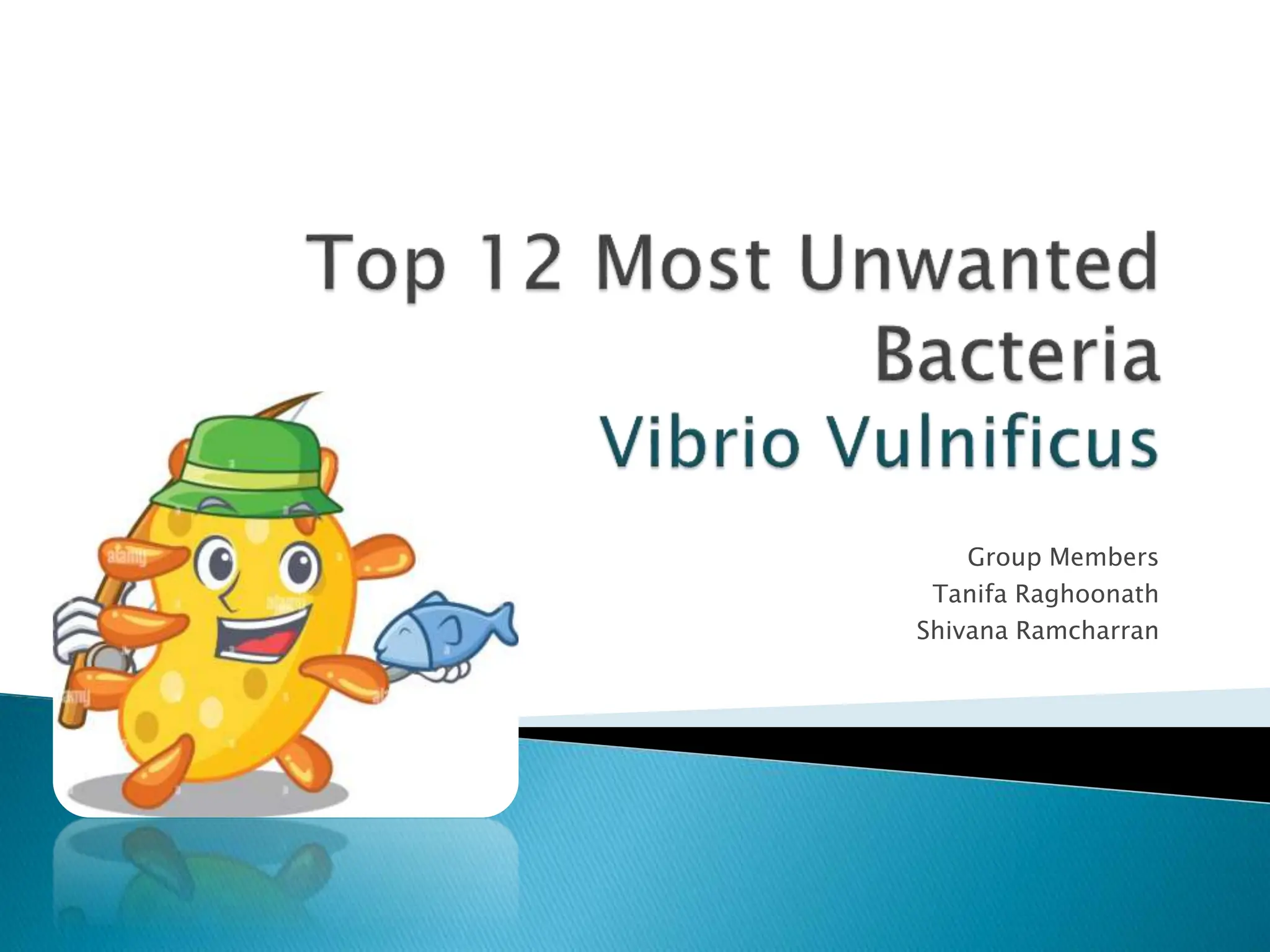 Top 12 Most Unwanted Bacteria Must Know.pptx