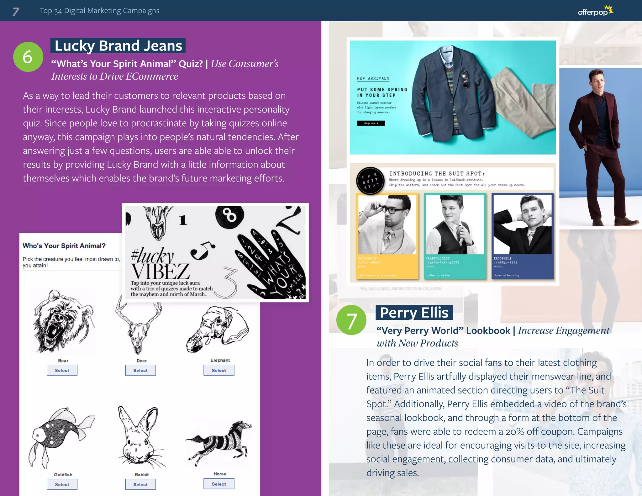 Top 12 Retail Marketing Campaigns | PDF