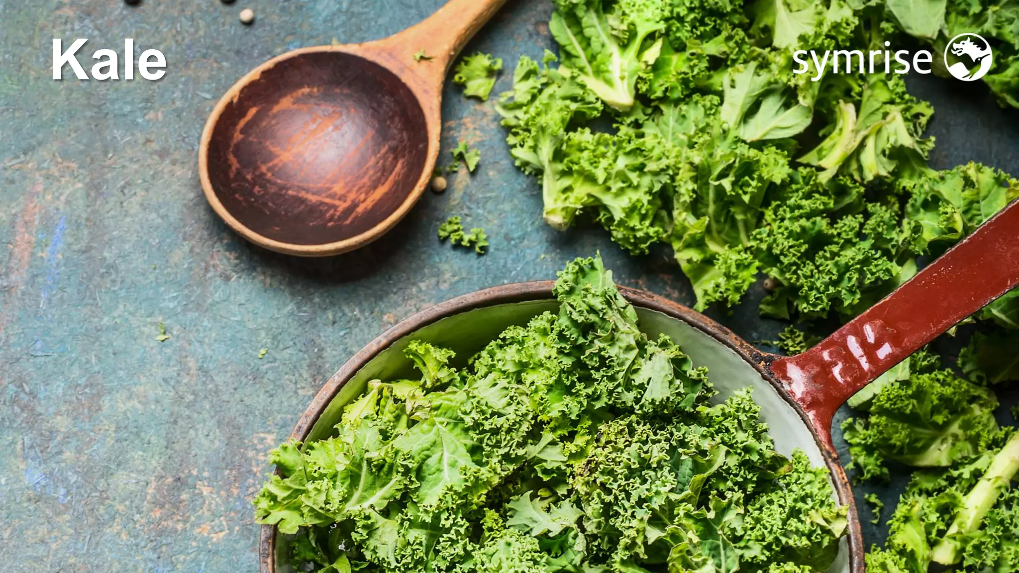 Top 13 Savory Flavor Trends of the Past Decade | PDF