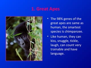 Top 15 smartest and most intelligent animals | PPT