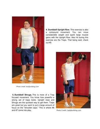 Top 16 Dumbbell Exercises with the Powertec Workbench Dumbbell Rack ...