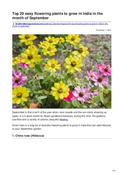 Top 20 easy flowering plants to grow in India in the month of September ...