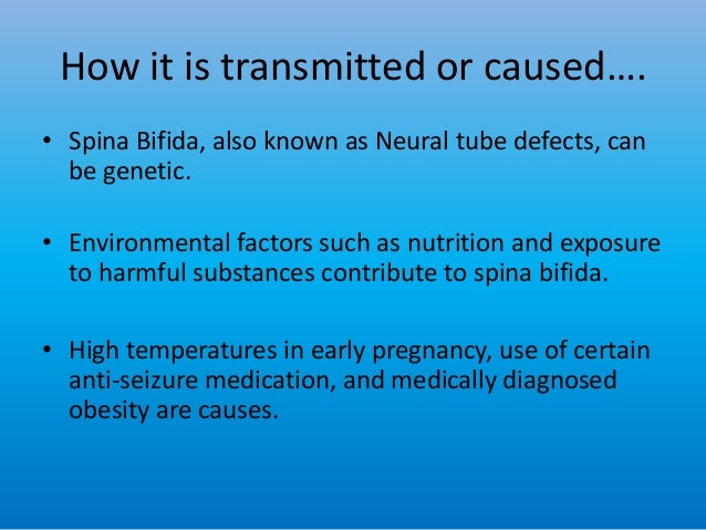 Top 3 causes and symptoms of spina bifida