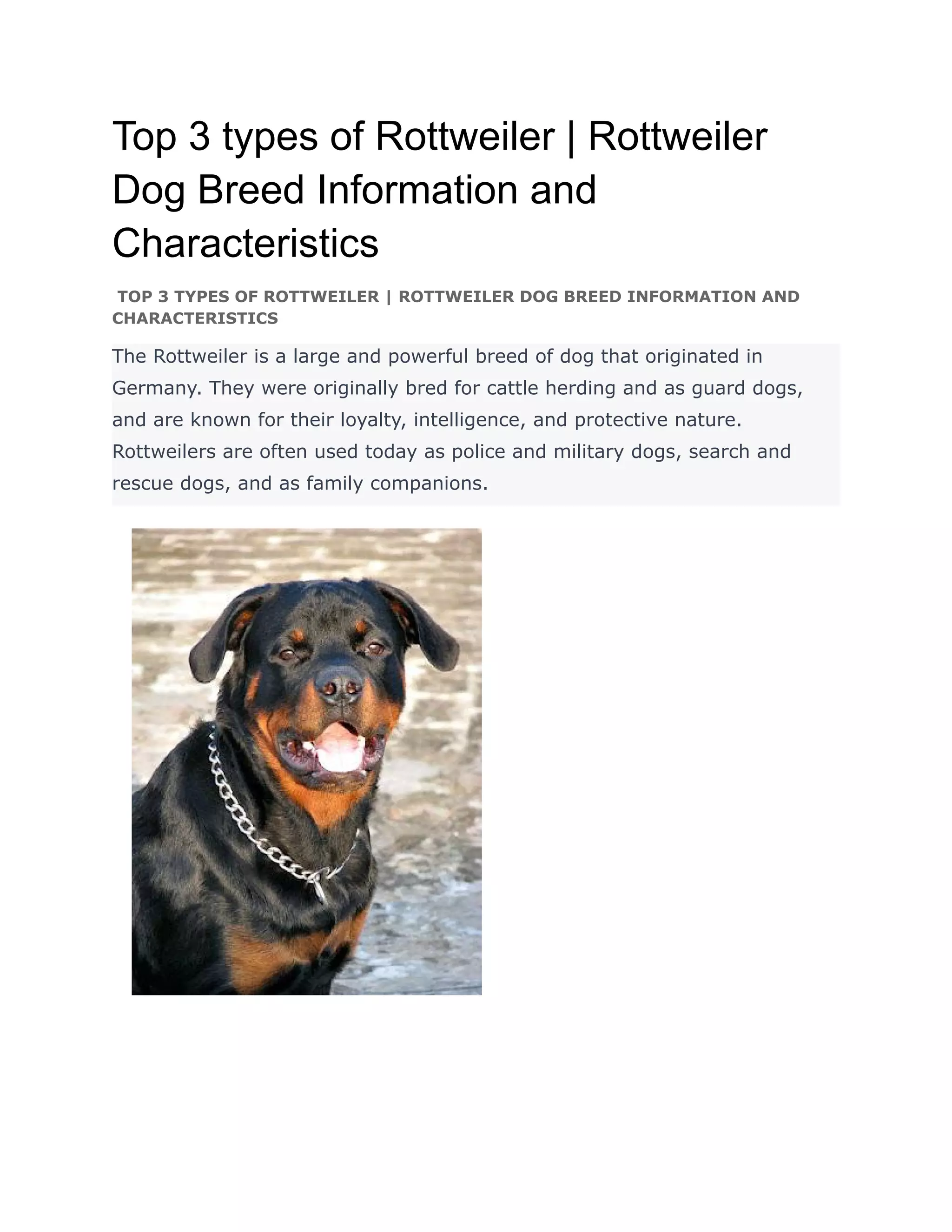 Top 3 types of Rottweiler _ Rottweiler Dog Breed Information and ...