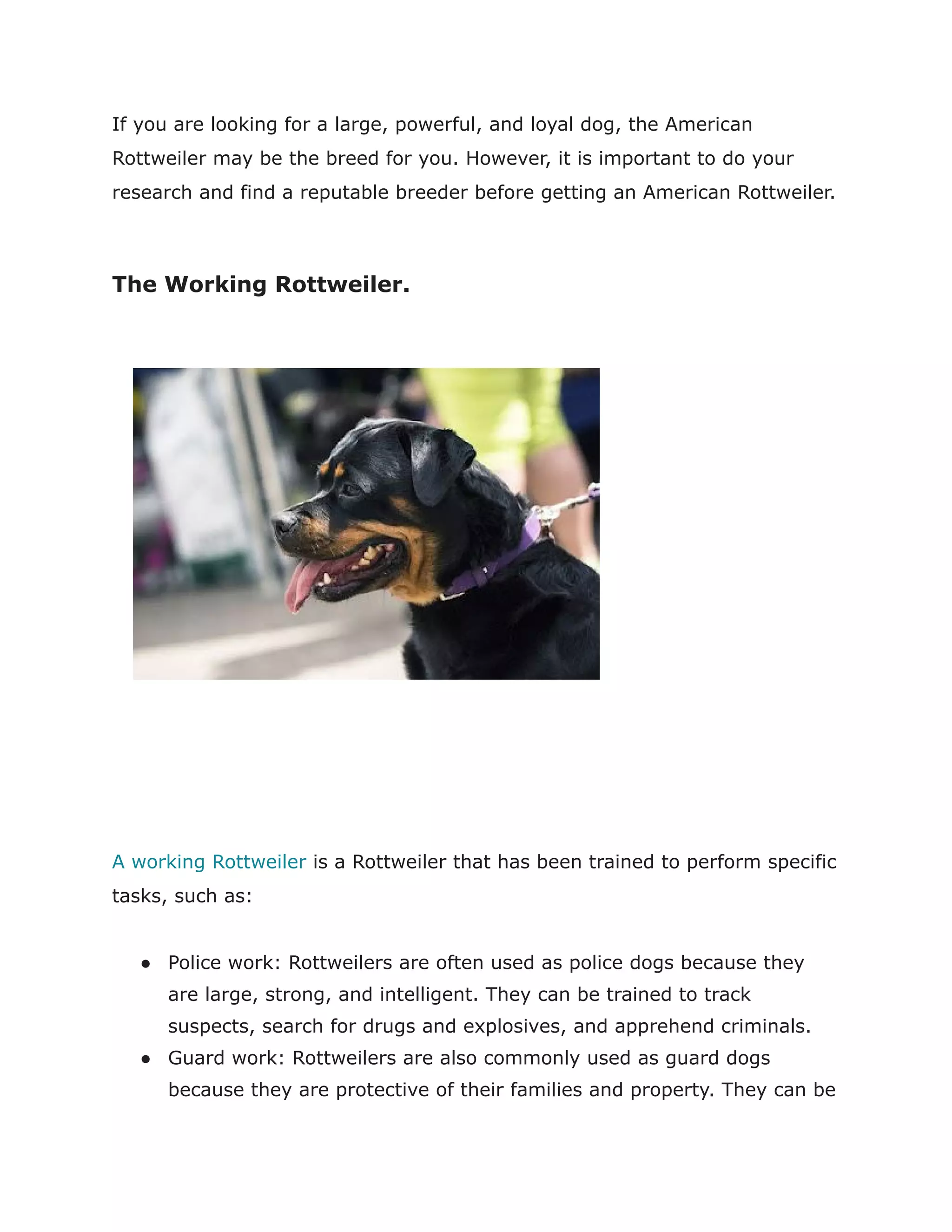 Top 3 types of Rottweiler _ Rottweiler Dog Breed Information and ...