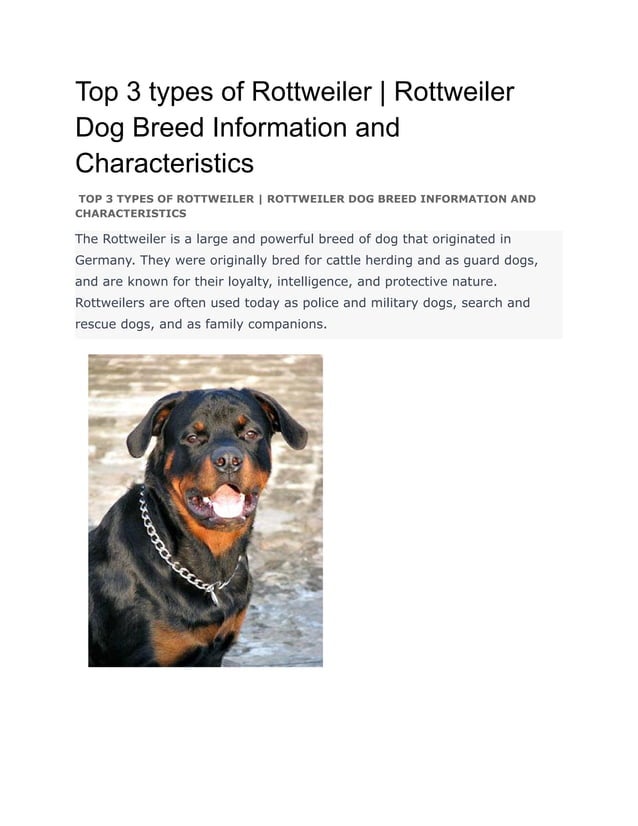 Top 3 types of Rottweiler _ Rottweiler Dog Breed Information and ...