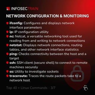 Ready to master Linux, Top 40+ kali linux commands | PDF
