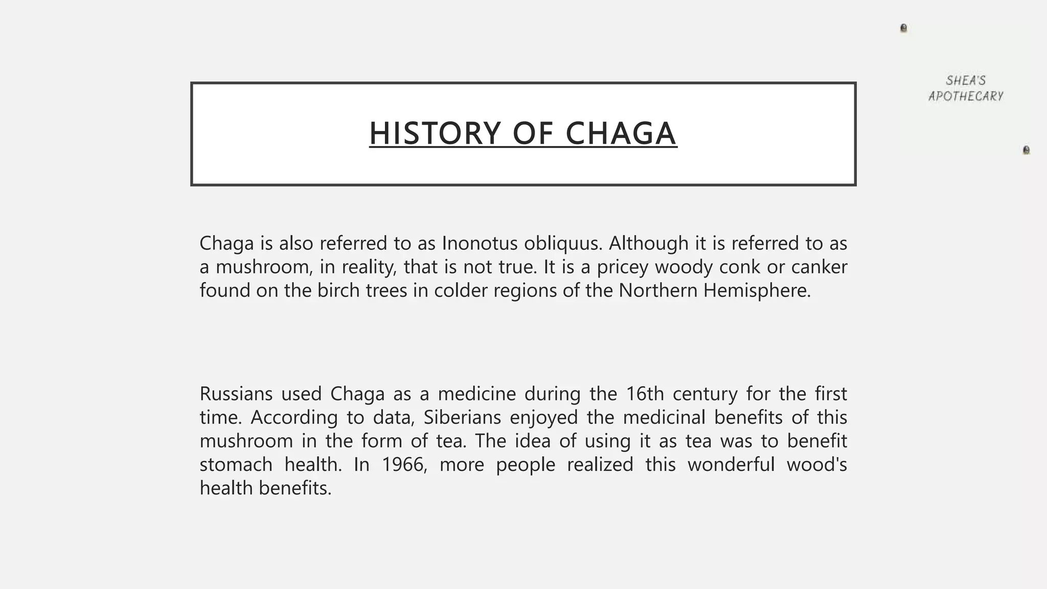 Top 4 Medicinal Mushrooms | PPTX