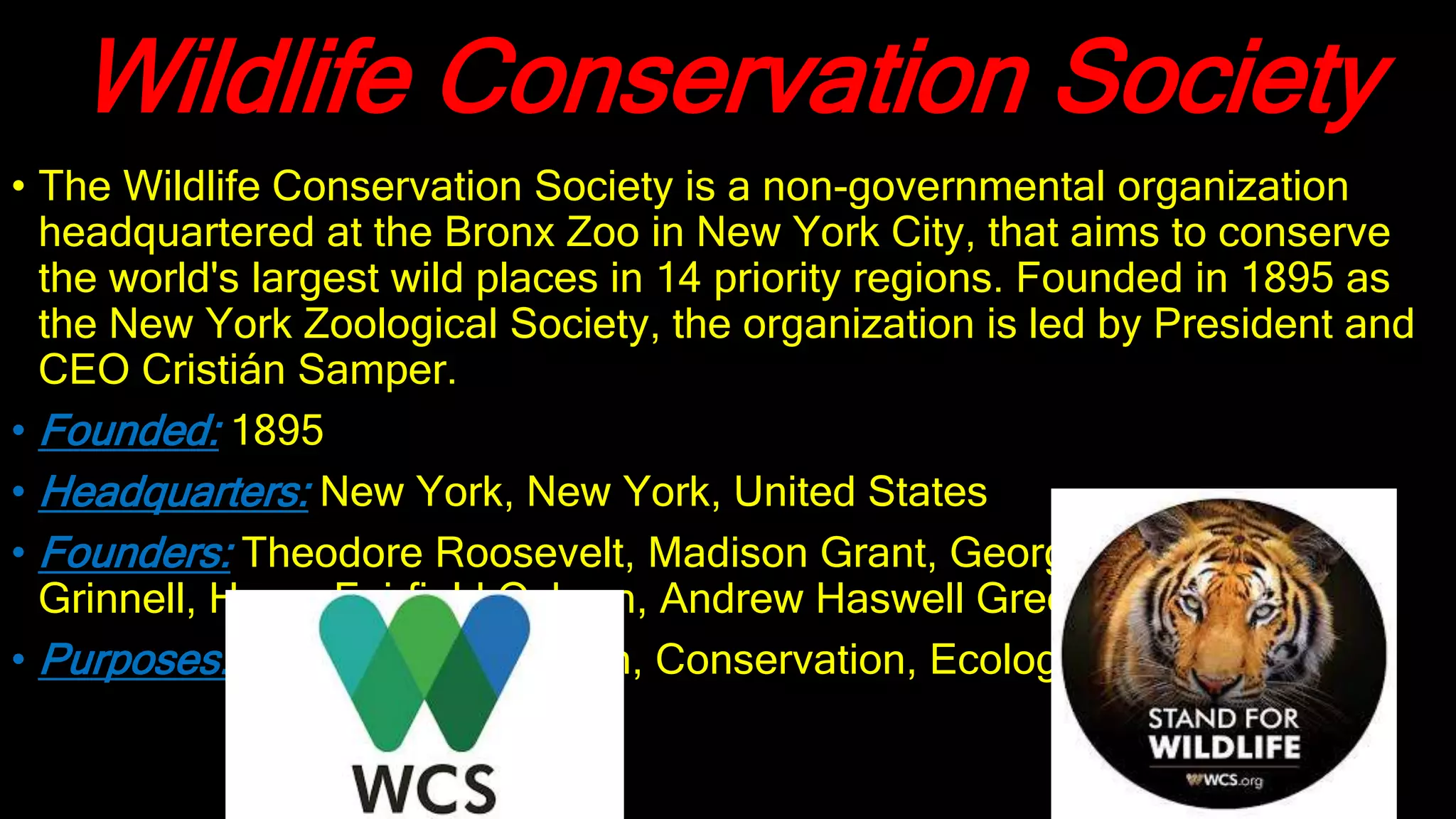 Top 5 animal protection organizations | PPTX