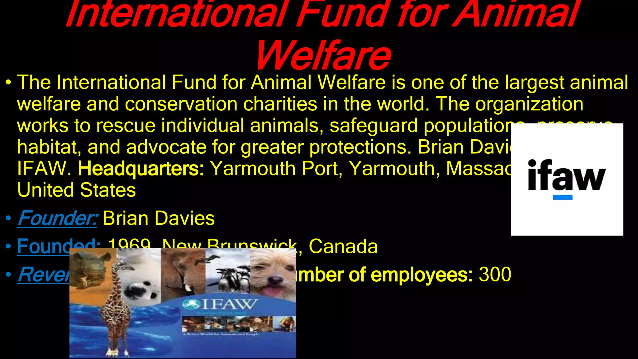 Top 5 animal protection organizations | PPTX