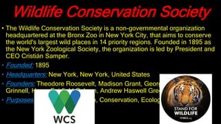 Top 5 animal protection organizations | PPTX