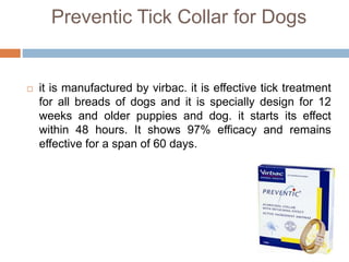 Top 5 collars for dogs and cats | PPT