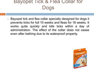 Top 5 collars for dogs and cats | PPT