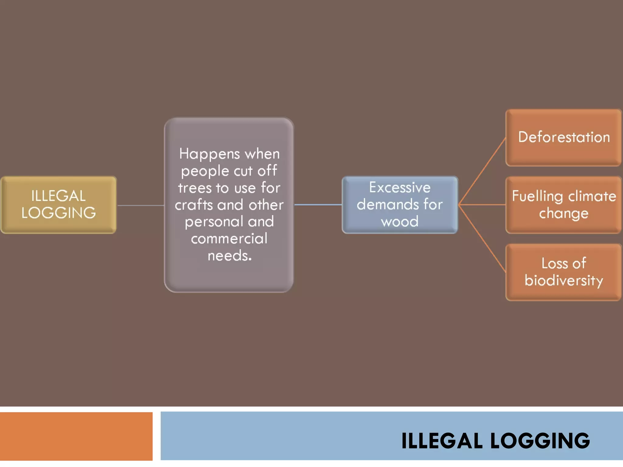 Top 5 environmental problems | PPT