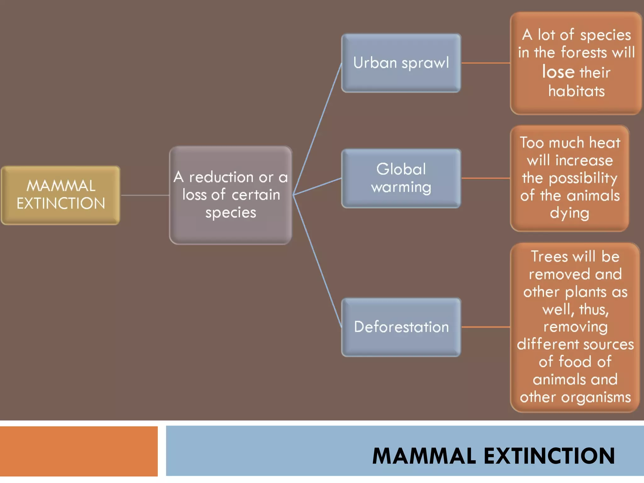 Top 5 environmental problems | PPT